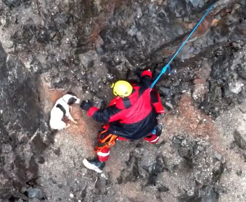 Dog rescued after falling down cliff into Chipping Sodbury Quarry ...